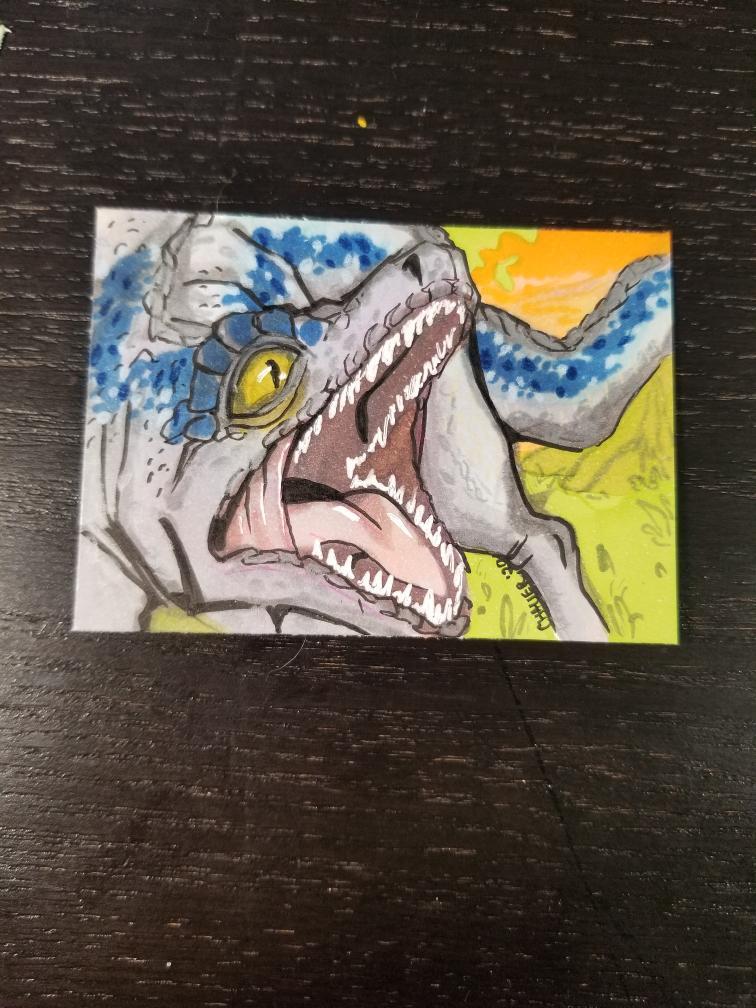 Blue Jurassic World Sketch Card – JP JACKSON ART
